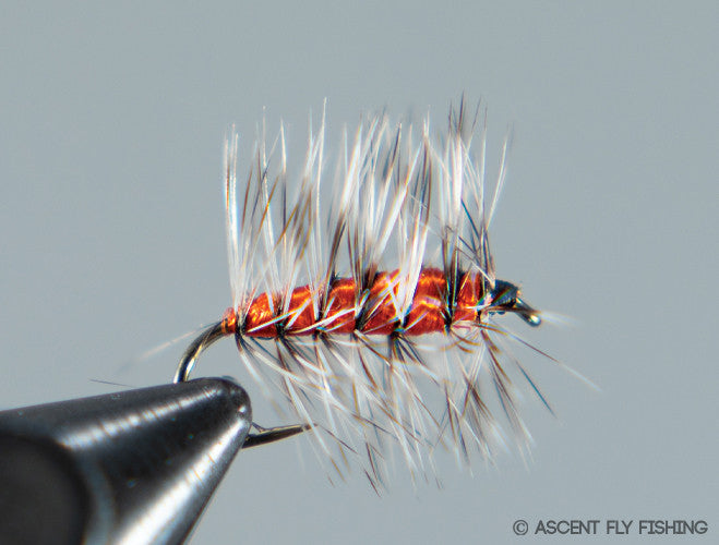 Orange Asher Dry Fly – High-Visibility Midge Pattern for Trout — Ascent ...