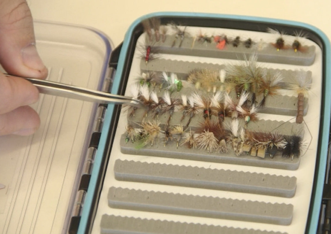 Creating Order in Your Fly Box: Fly Box Organization Guide(DVD ...