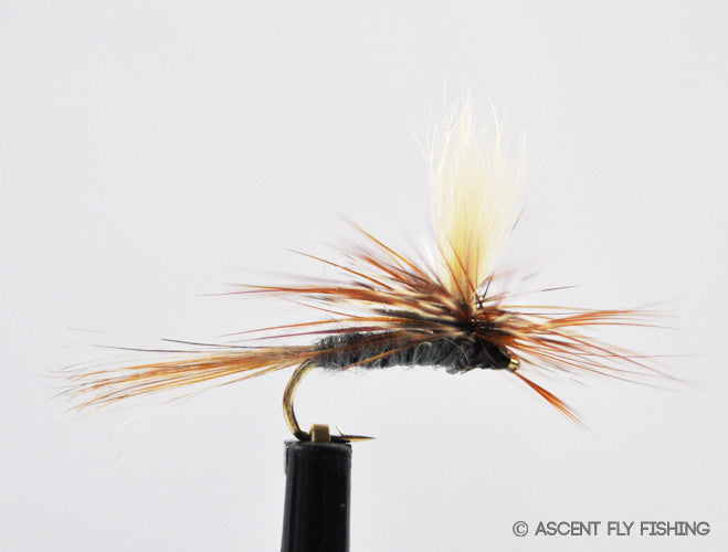 Parachute Adams — Ascent Fly Fishing