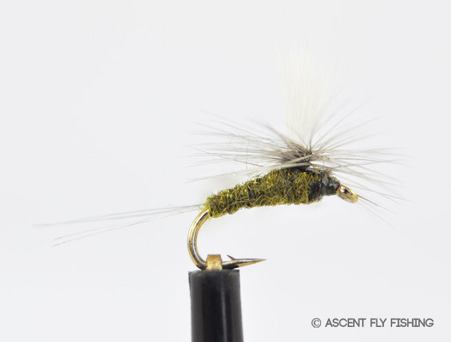 BWO Fly Patterns | Blue Winged Olive Duns, Nymphs & Emergers — Ascent ...