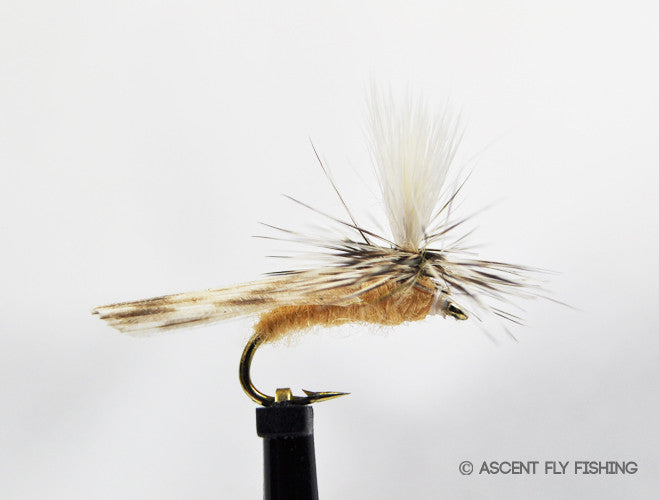 Parachute Caddis — Ascent Fly Fishing