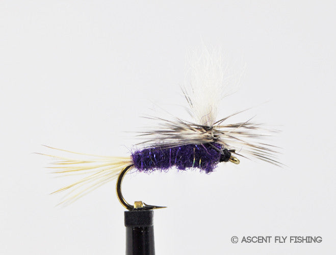 Parachute Purple Haze — Ascent Fly Fishing