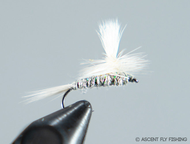 Parachute White Miller Dry Fly – High-Floating Moth Imitation for Trout ...