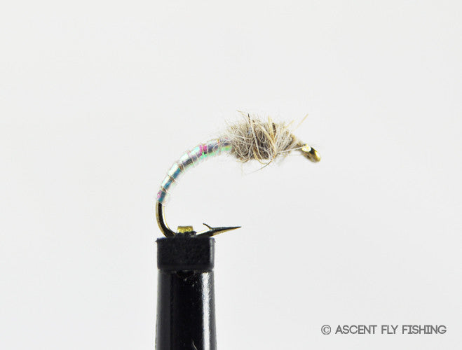 Pearl Midge — Ascent Fly Fishing