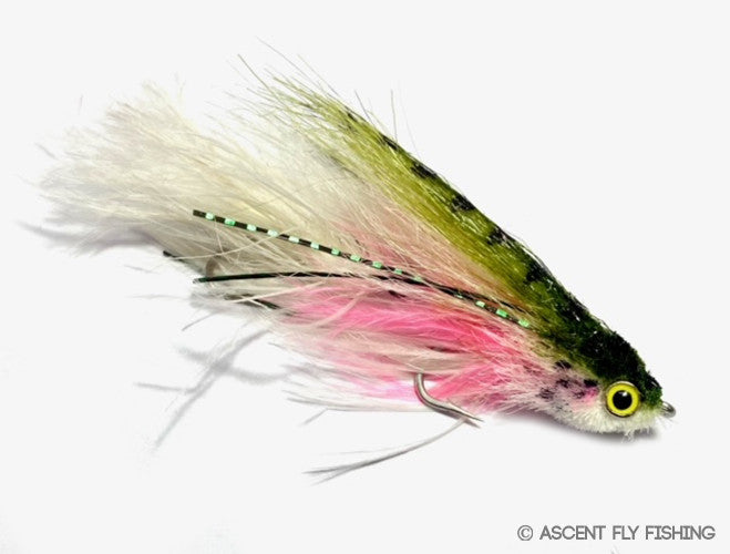 Baby Gonga — Ascent Fly Fishing