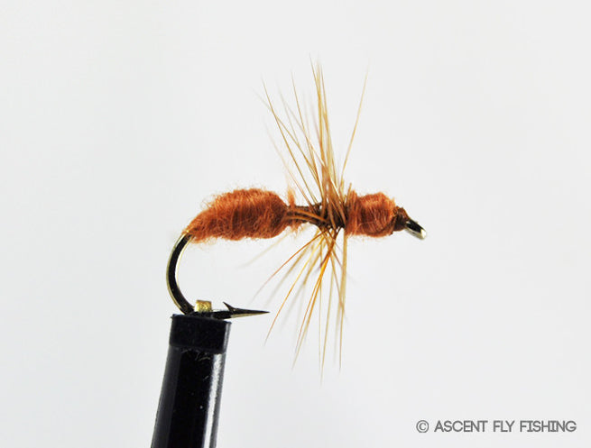 Products — Ascent Fly Fishing