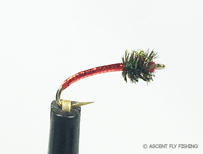 Disco Midge — Ascent Fly Fishing