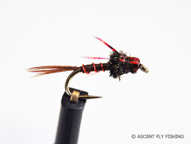 Red Headed Step Child — Ascent Fly Fishing