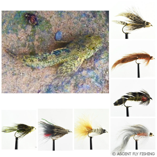 Sculpin Selection — Ascent Fly Fishing
