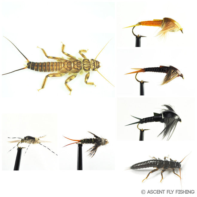 Stonefly Nymph Selection — Ascent Fly Fishing