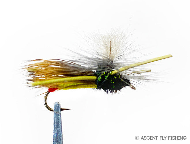 Yellow Sally PMX — Ascent Fly Fishing