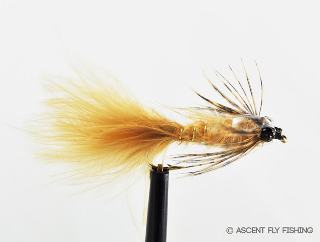 Products — Ascent Fly Fishing