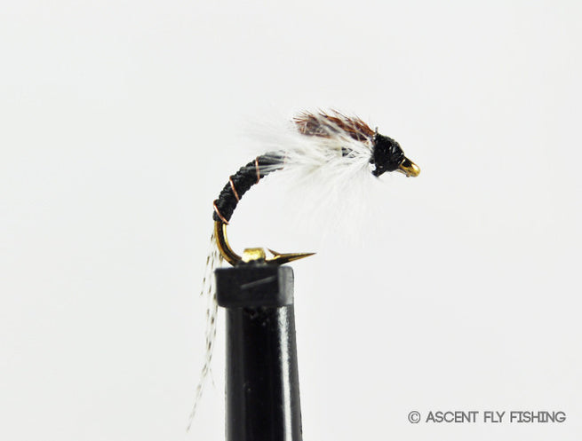 Chironomid Patterns — Ascent Fly Fishing