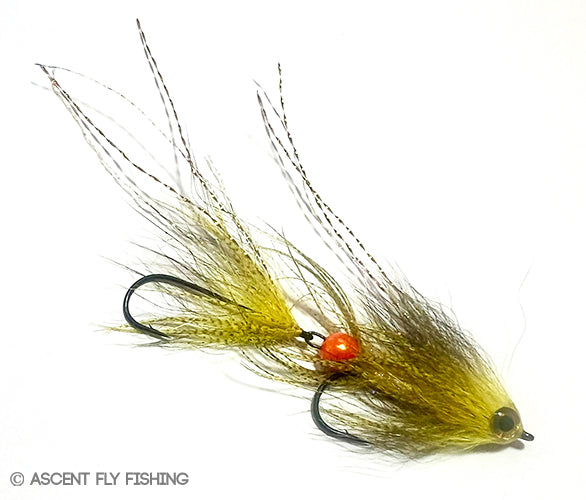 Swim Coach — Ascent Fly Fishing